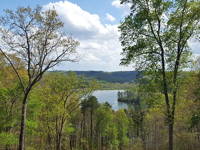 Nature's perfect mirror moment at Lake Hope, where the sky meets water in a dance that makes you forget about your inbox entirely.