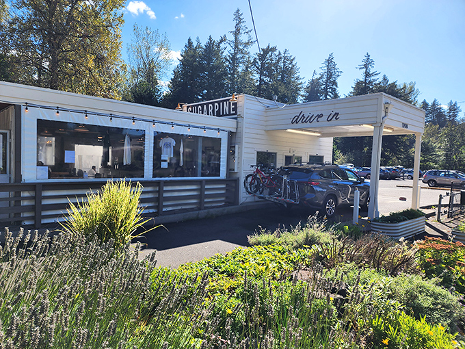 Sugarpine Drive-In's classic white exterior beckons like a mirage in the Oregon wilderness. Nostalgia with a modern twist awaits.