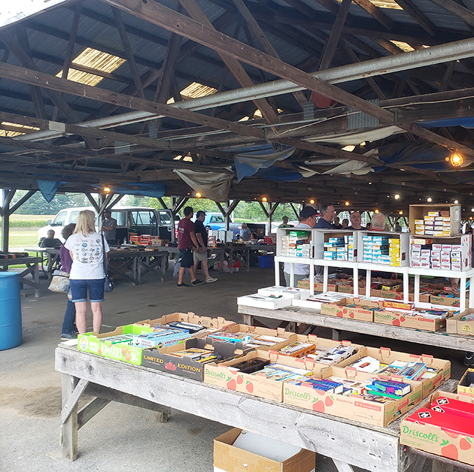 Treasure hunters converge under rustic beams, where plastic bins of potential heirlooms await their next chapter. Every table holds someone else's fond memories.