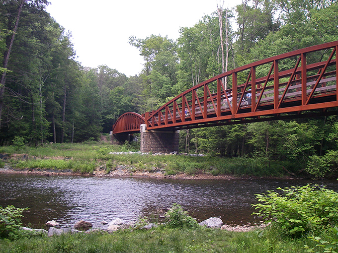 Swatara Creek catches the day's final golden light, offering a moment of pure tranquility that no Instagram filter could ever improve upon.