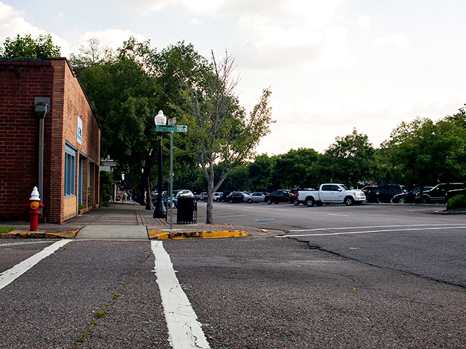 Laurens Street welcomes you with that perfect small-town charm &ndash; brick buildings, shady trees, and parking spots that don't require parallel parking wizardry.