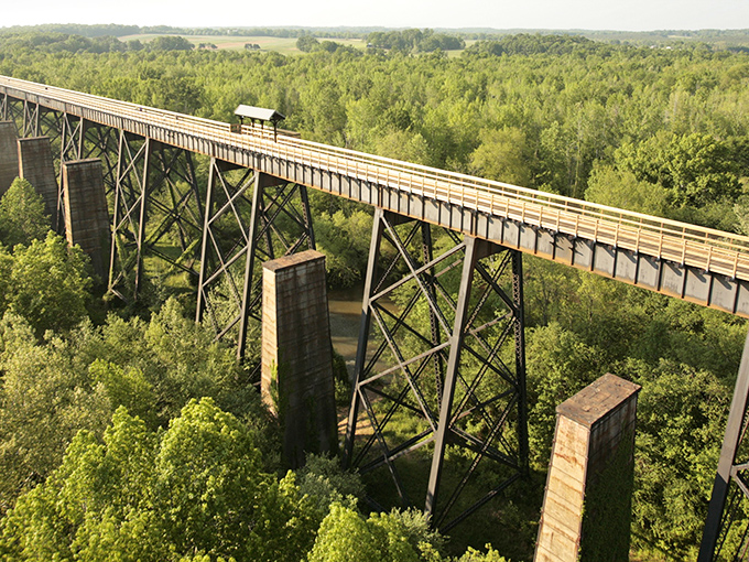 The wooden pathway stretches toward infinity, inviting you to walk among the treetops like some kind of casual, non-spandex-wearing superhero.