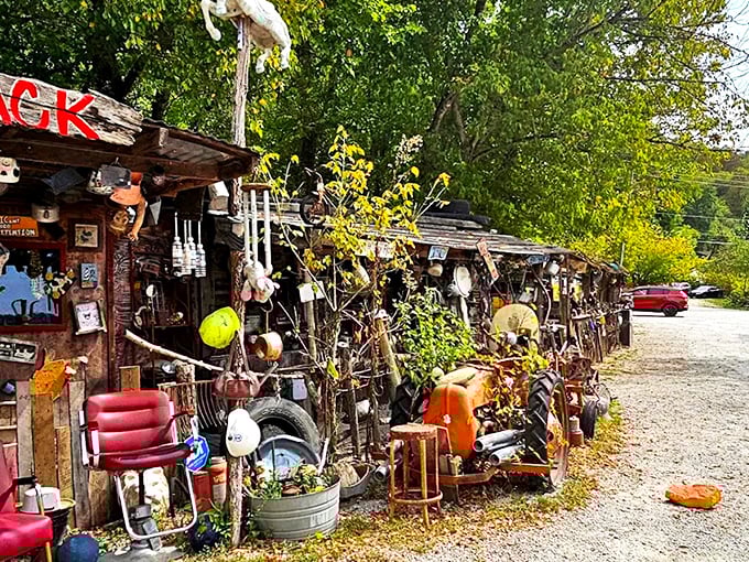 Junkyard chic at its finest! Hillbilly Hot Dogs' exterior is a glorious hodgepodge where one person's trash becomes another's roadside masterpiece.