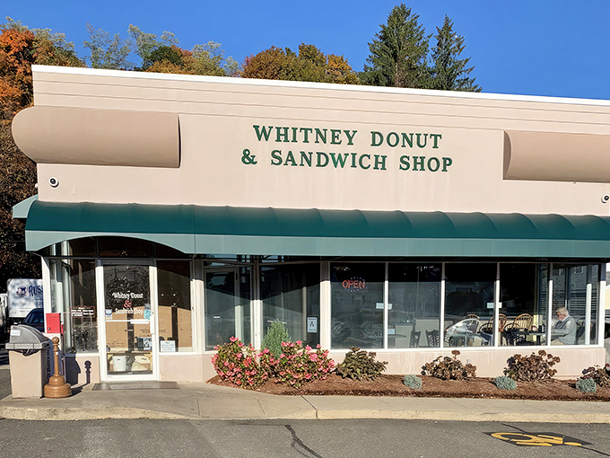 The unassuming exterior of Whitney Donut & Sandwich Shop proves once again that culinary treasures often hide in plain sight. 
