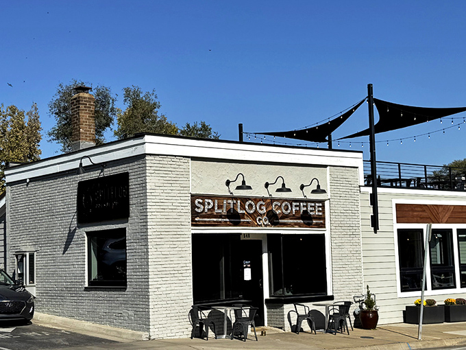 Splitlog's unassuming exterior hides coffee greatness within, like finding a diamond in your breakfast cereal &ndash; unexpected but absolutely delightful.