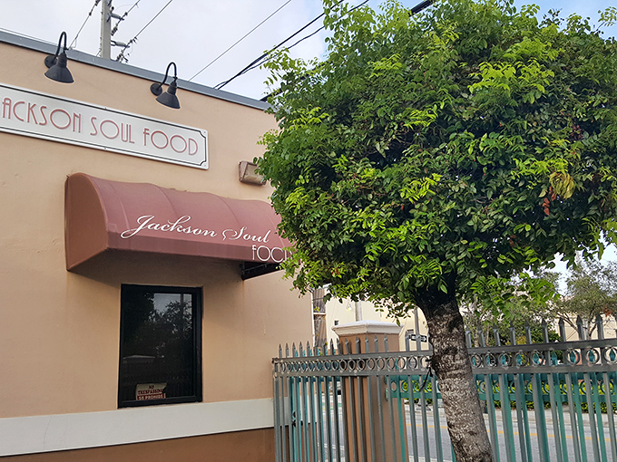 The unassuming exterior of Jackson Soul Food stands like a culinary lighthouse in Overtown, beckoning hungry travelers with promises of Southern comfort.