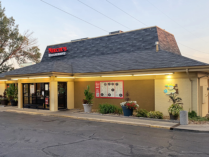 Niecie's modest exterior belies the culinary treasures within. Like finding a diamond in your breakfast cereal, this unassuming building houses flavor explosions waiting to happen.
