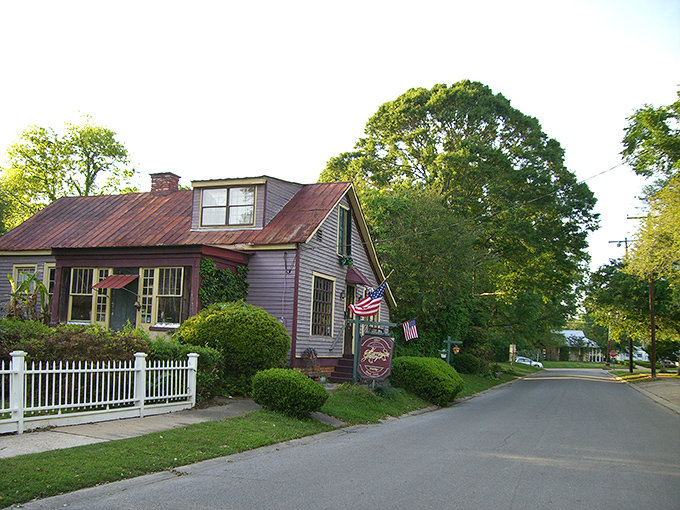 Main Street simplicity at its finest. St. Francisville's tree-lined roads invite you to slow down and remember when conversations happened on front porches, not smartphones.