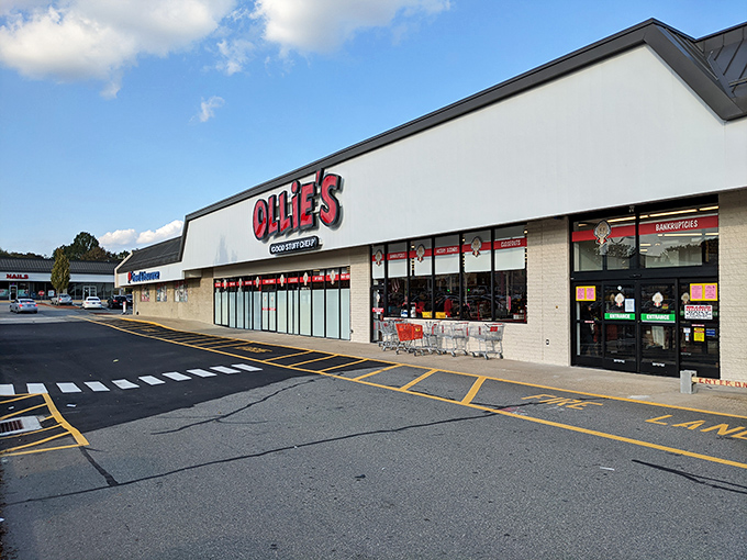 The unassuming storefront of Ollie's in Waterford hides a treasure trove of bargains within, like a discount speakeasy that everyone's invited to.