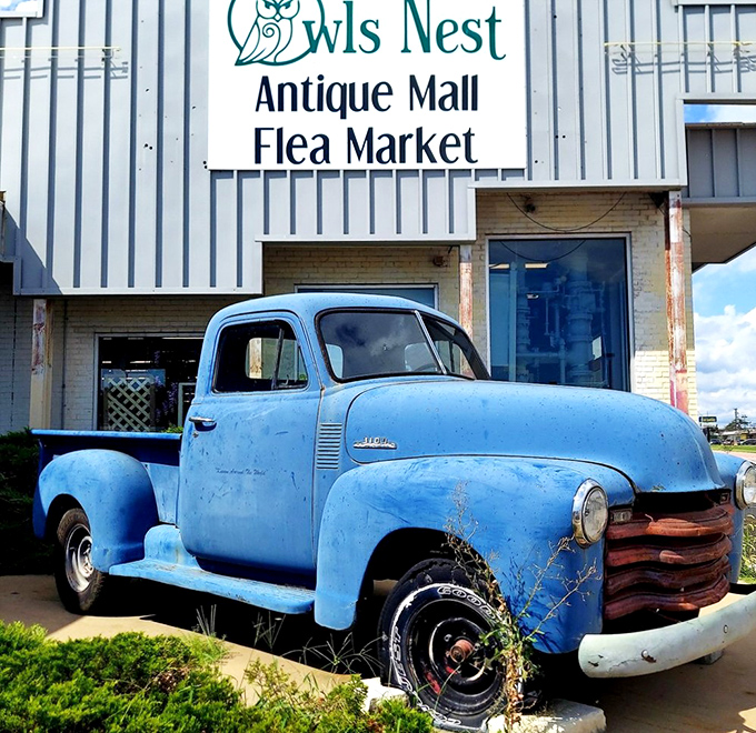 The classic blue pickup truck stands sentinel outside Owls Nest, like a time-traveling greeter announcing: "Treasures await inside, fellow hunters!"