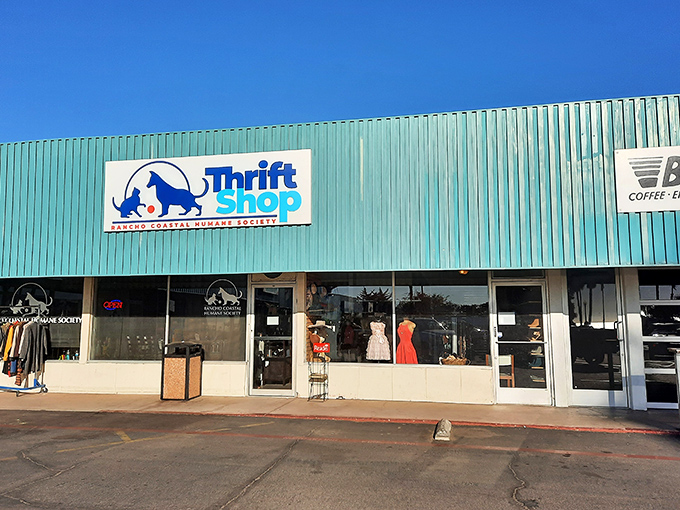 That turquoise facade isn't just eye-catching&mdash;it's a beacon for bargain hunters and animal lovers alike. The perfect California combo: thrifting with purpose. 