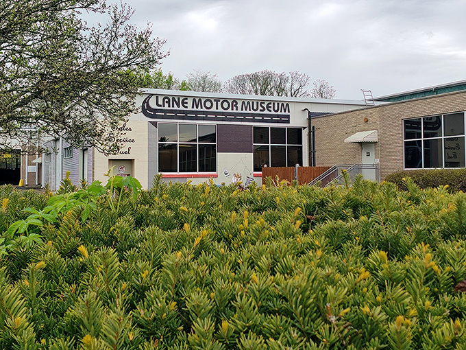 The unassuming exterior of Lane Motor Museum, where automotive dreams hide behind a vintage bakery facade. Who knew bread and bizarre vehicles had so much in common?