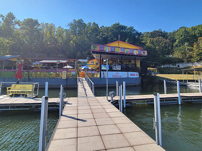 The Fish & Company announces itself with a color palette that would make Jimmy Buffett feel right at home. Lake life never looked so vibrant!