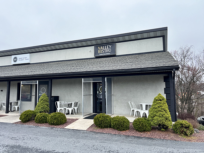 Valley Bistro's unassuming exterior hides culinary treasures within &ndash; like finding a Michelin-starred restaurant in your neighbor's garage.