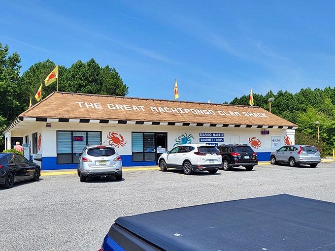 Yellow flags flutter like culinary beacons above this unassuming roadside treasure. The gravel parking lot filled with pickup trucks tells you everything you need to know.