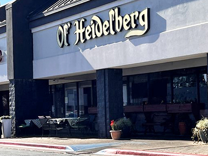 Tucked into a Huntsville strip mall, Ol' Heidelberg's modest exterior hides a culinary adventure that would make even the Black Forest proud.