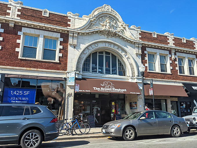 The grand architectural fa&ccedil;ade of The Brown Elephant stands proudly on Clark Street, like a palace dedicated to the art of secondhand treasures.
