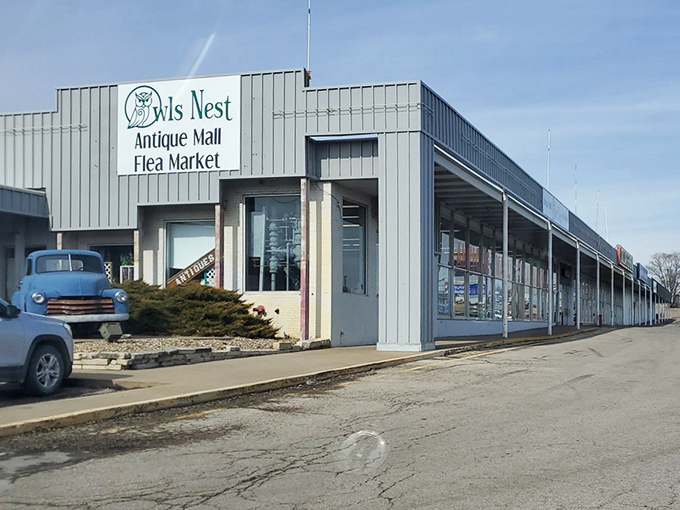 The classic blue pickup truck stands sentinel outside Owls Nest, like a time-traveling greeter announcing: "Treasures await inside, fellow hunters!"
