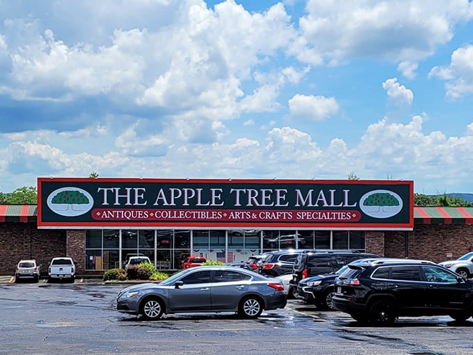 The iconic red and green sign of The Apple Tree Mall beckons treasure hunters, promising a wonderland of collectibles just waiting to be discovered.