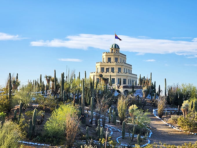 Like a wedding cake rising from the desert, Tovrea Castle stands proudly among thousands of cacti, a surreal vision under Arizona's impossibly blue sky.