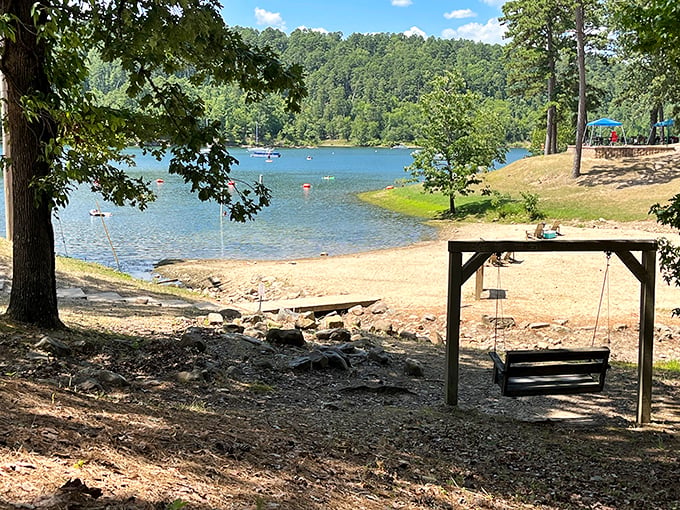 Nature's perfect frame! Tall pines stand sentinel around crystal-clear waters, offering a glimpse of what paradise must look like on a sunny Arkansas afternoon.