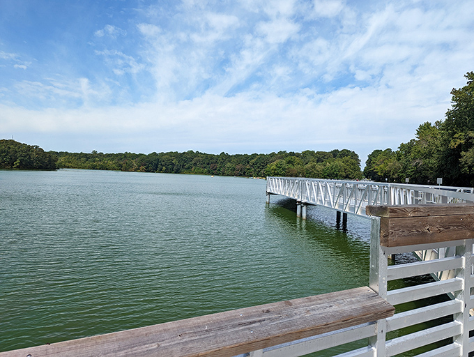 The millpond's glassy surface perfectly mirrors the sky above, creating nature's own infinity pool in the heart of Delaware.