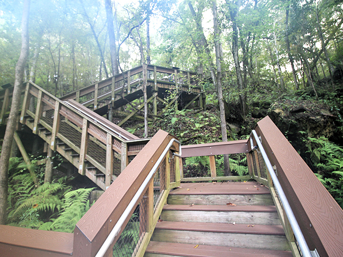 The wooden boardwalk beckons you into a world that feels more Pacific Northwest than Florida. Nature's invitation to adventure awaits.