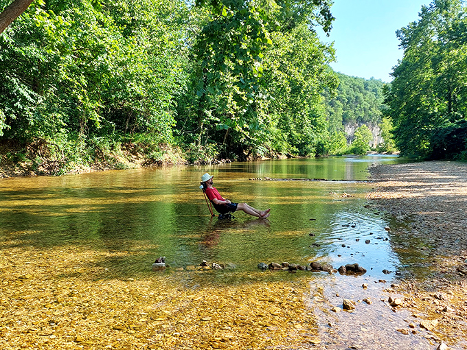The towering limestone face of Echo Bluff stands like nature's skyscraper, reflecting millions of years of geological patience. Crystal-clear Sinking Creek invites you to wade in its refreshing embrace.