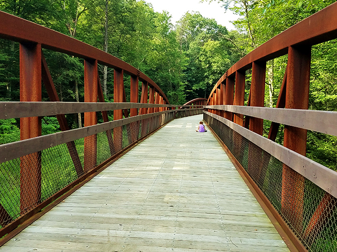 Swatara Creek catches the day's final golden light, offering a moment of pure tranquility that no Instagram filter could ever improve upon.