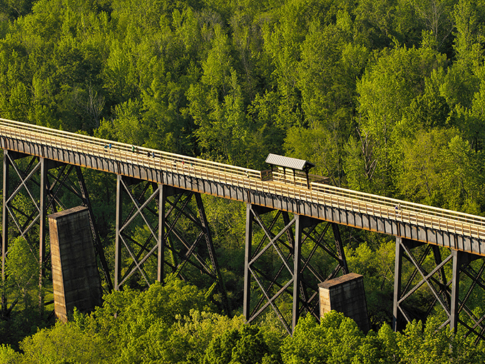The wooden pathway stretches toward infinity, inviting you to walk among the treetops like some kind of casual, non-spandex-wearing superhero.