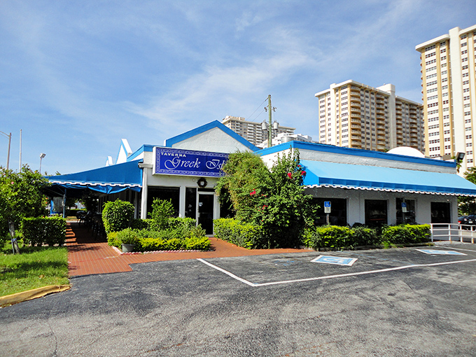 The blue and white exterior of Greek Islands Taverna stands like a Mediterranean mirage among Fort Lauderdale's high-rises. A perfect postcard from Greece without the jet lag.