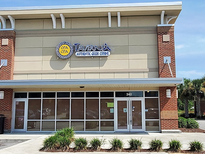 The unassuming exterior of Opa Opa Taverna might not scream "culinary adventure," but inside awaits a Greek flavor explosion that'll transport you straight to the Mediterranean.