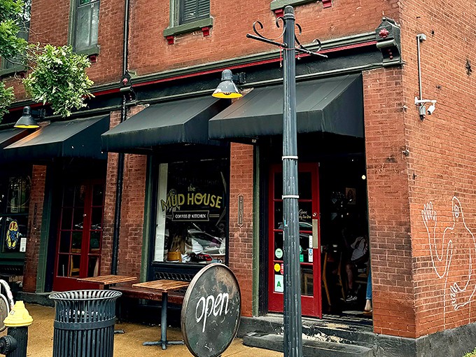 The corner brick building stands like a caffeinated sentinel on Cherokee Street, its classic St. Louis architecture promising refuge for coffee pilgrims.