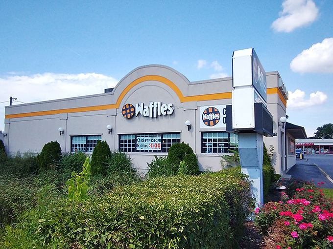 The unassuming exterior of Chicago Waffles might not stop traffic, but locals know this beige building houses breakfast magic worth seeking out.