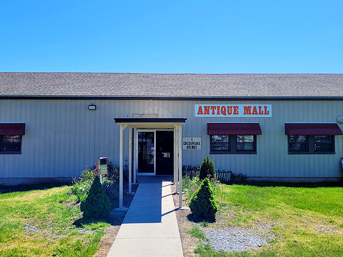 The modest exterior with those dark awnings is like a secret handshake &ndash; only treasure hunters know what wonders lurk behind these unassuming walls.