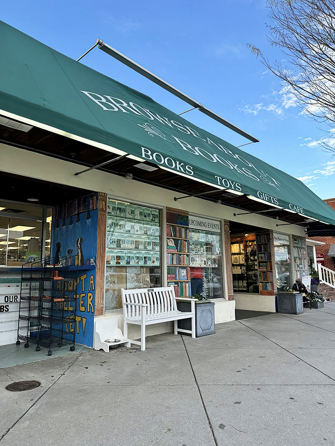 The iconic teal awning of Browseabout Books beckons like a literary lighthouse on Rehoboth Avenue, promising treasures for the mind within.