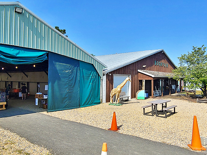 The rustic barn exterior of Green Valley Book Fair beckons bibliophiles like a literary siren song.