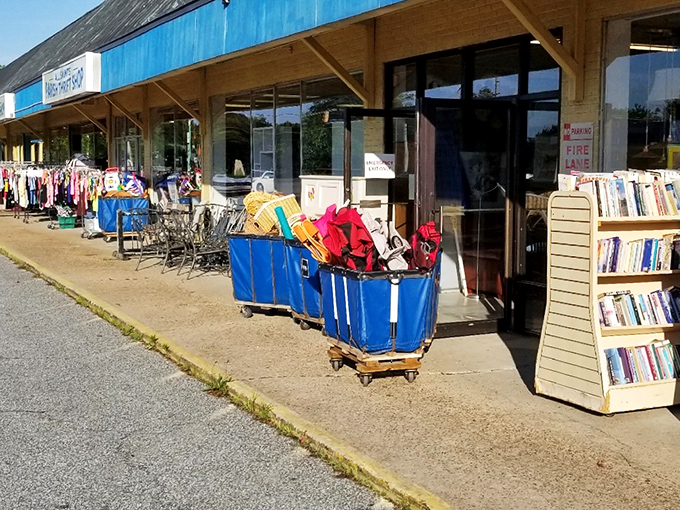 The unassuming exterior hides a treasure trove within, like finding out your quiet neighbor is secretly a rock star on weekends.