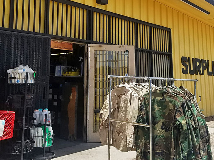 The unassuming exterior of Surplus City belies the wonderland within. Like a desert mirage, treasures await behind these beige walls.