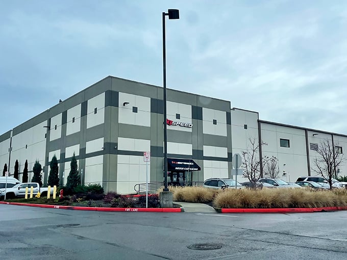 The starting grid awaits your inner speed demon. These sleek electric karts don't just look fast&mdash;they'll pin you back in your seat faster than you can say "checkered flag."