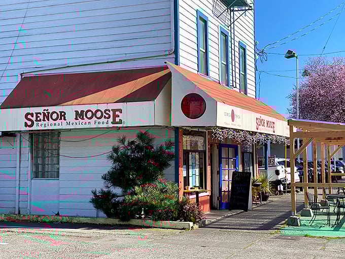 The unassuming exterior of El Moose belies the flavor explosion waiting inside. Like finding a Picasso at a yard sale&mdash;pure serendipity in Seattle's Ballard neighborhood.