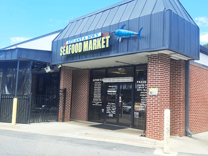 The blue marlin mounted above the entrance isn't just decoration&mdash;it's a maritime promise of the oceanic treasures waiting inside this unassuming Gainesville gem.