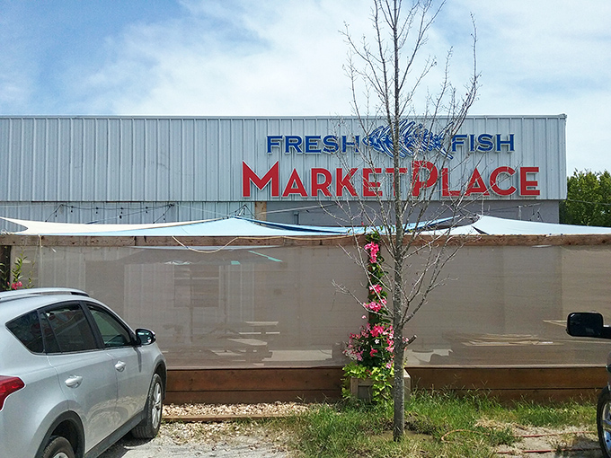 The unassuming exterior of Blu Fish House belies the seafood treasures within. Like finding Atlantis behind a storage unit, this place redefines "hidden gem."