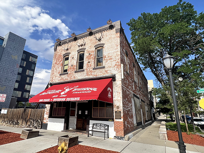 The brick facade of Buckhorn Exchange glows under night lights, its iconic red awning beckoning hungry travelers like a carnivorous lighthouse in urban Denver.