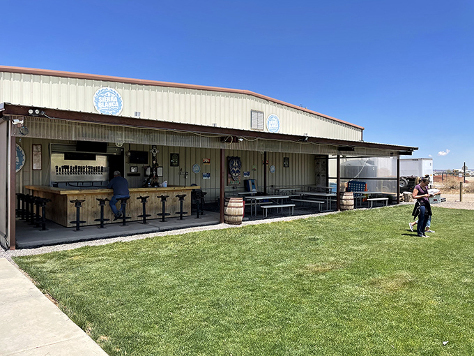 The ultimate "don't judge a book by its cover" moment. This unassuming metal building houses liquid gold under that brilliant New Mexico sky.