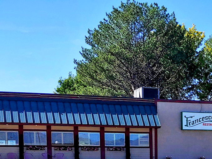 Francesco's modest exterior hides culinary treasures within, like finding a Lamborghini engine in your uncle's old Fiat.