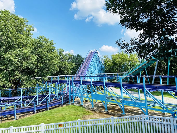 The petting zoo at Dutch Wonderland offers that rare chance for city kids to discover that horses don't actually come with arcade tokens and joysticks.