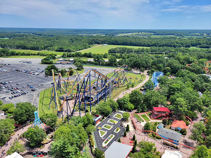 A bird's-eye view that makes even the most intimidating coasters look like elaborate squiggles on nature's canvas. Thrills awaiting their next victims!