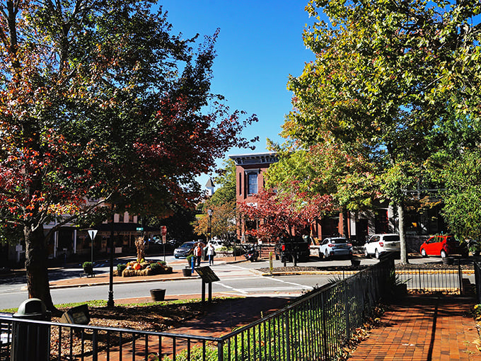 Dahlonega's historic square welcomes visitors with brick-lined streets and charming storefronts that look like they're waiting for a movie crew to yell "action!"