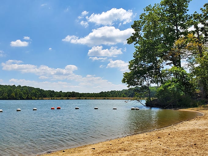 Paradise found! The sandy shores of Village Creek State Park offer a beach experience so unexpected in Arkansas, you'll wonder if you took a wrong turn at Albuquerque.